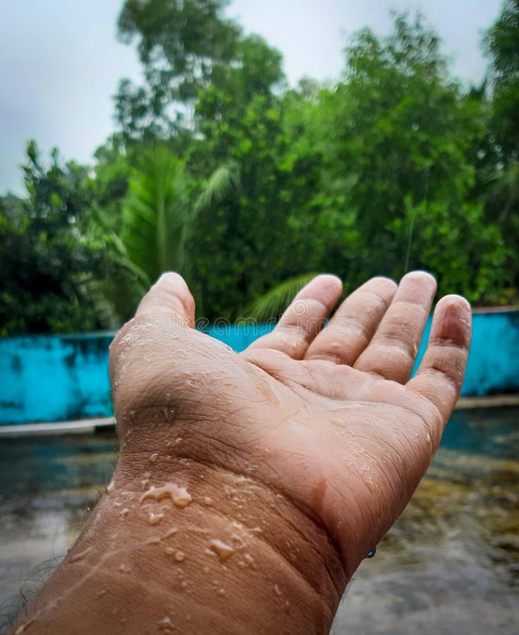 Water drop in leaf stock image. Image of flower, green - 191339867