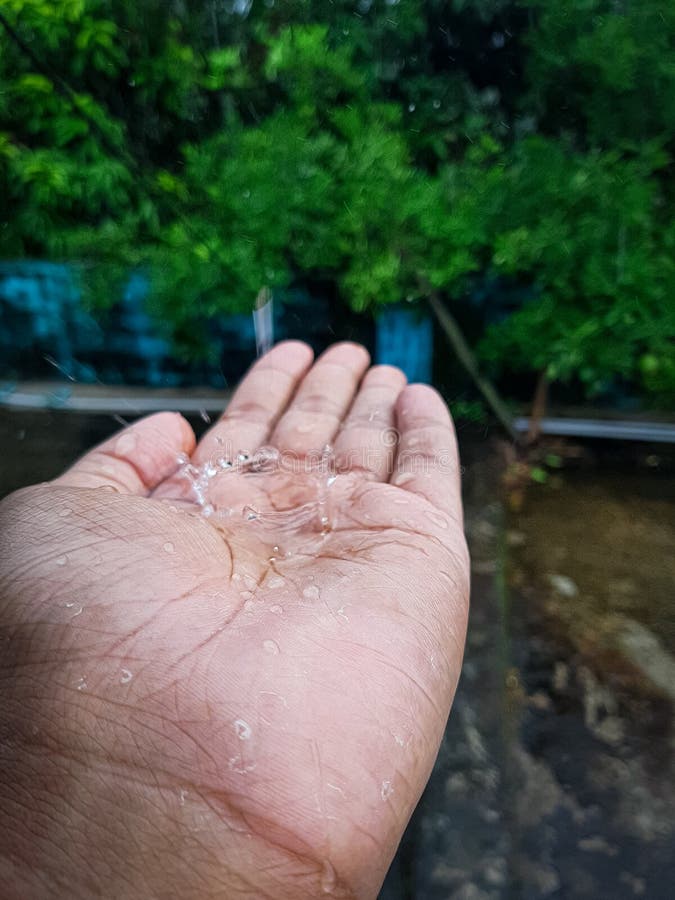 Water Drop in a Hand from Rain Stock Photo - Image of green, drop ...