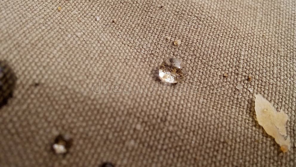 Water drop stock image. Image of macro, dash, micro, drop - 57430431