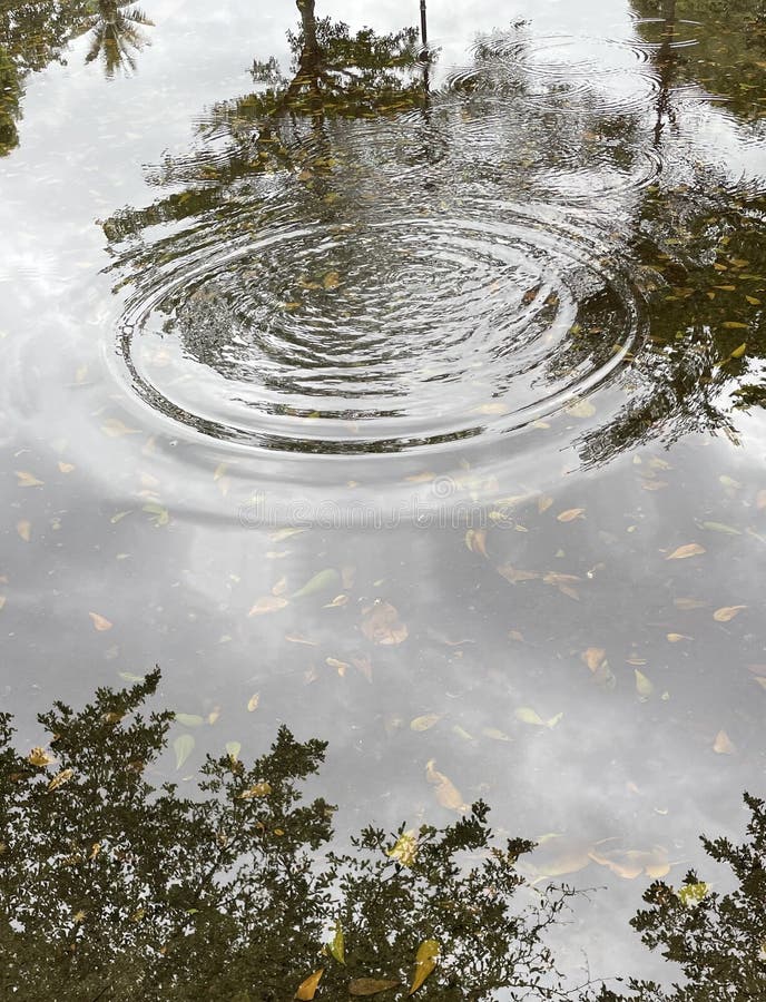 A Water Drop and Beautiful Splash Stock Photo - Image of small, drop ...