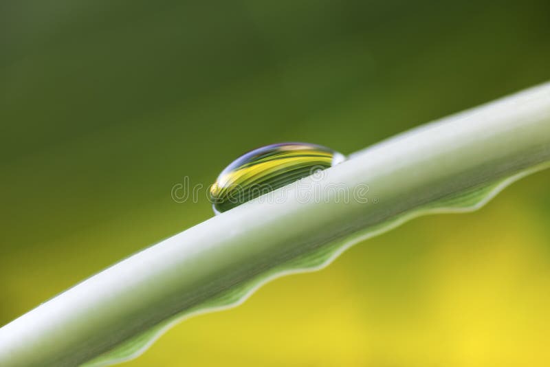 Water Drop with Multi-colored Reflection Stock Photo - Image of macro ...