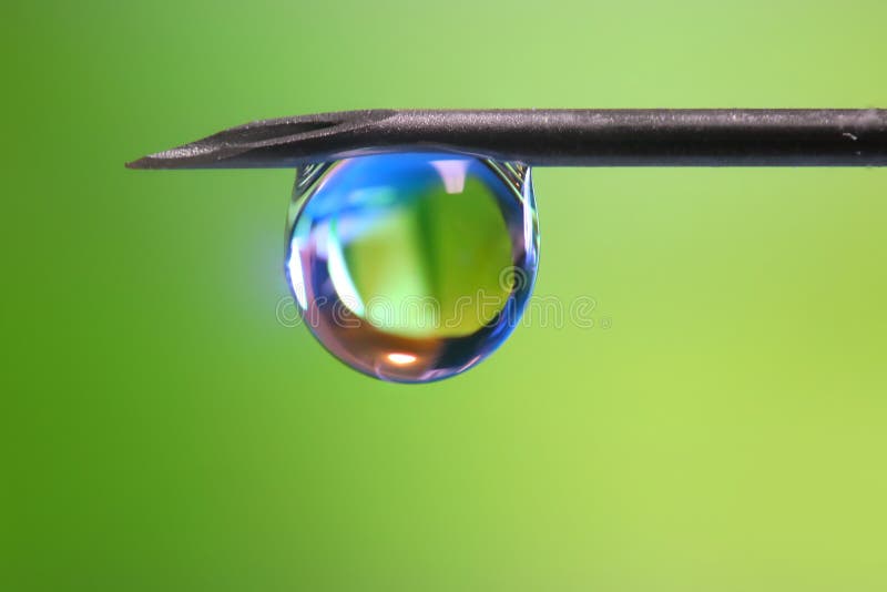 Water drop on a needle stock image. Image of clear, nature - 175332993