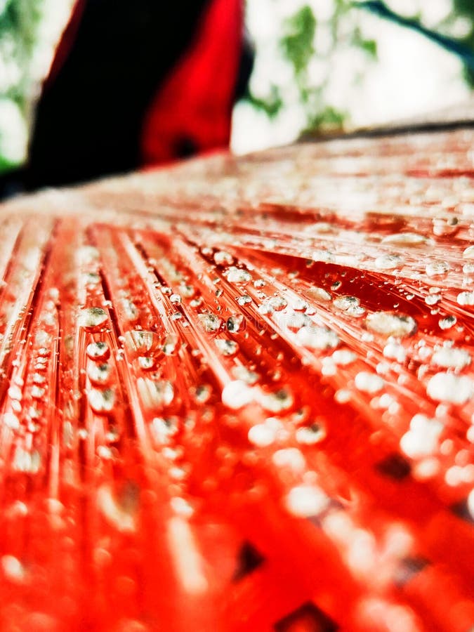 Water Drop in Rainy Season on a Polythin Stock Photo - Image of season ...