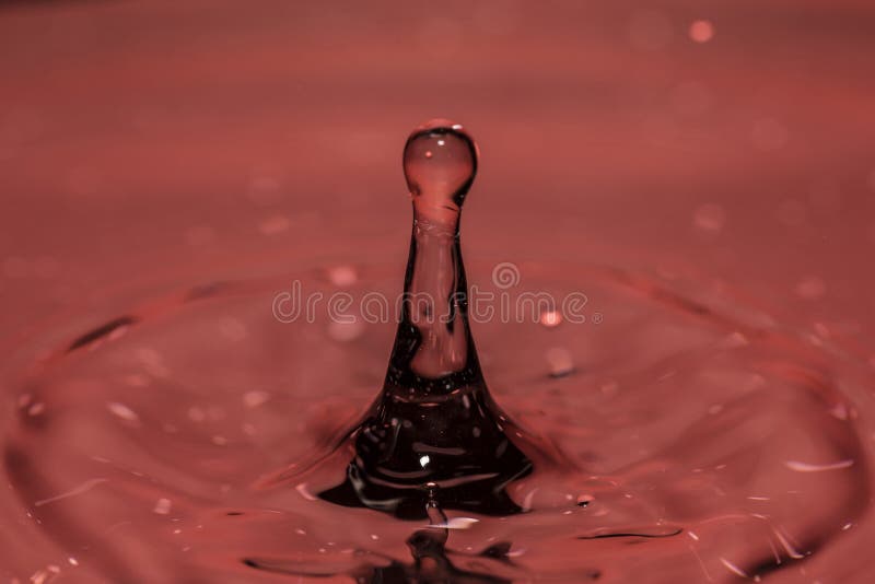 Water drop stock image. Image of raindrop, freshness - 39306257