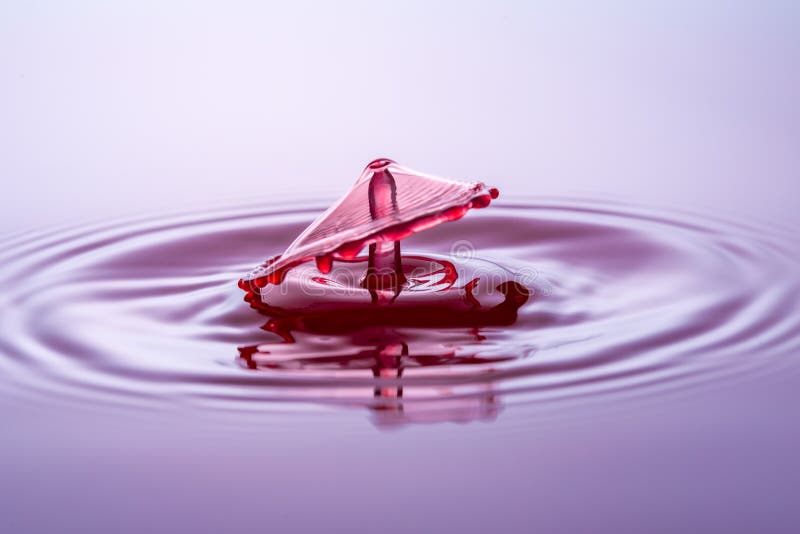 Water Drop stock image. Image of rain, impact, bubble - 171095001