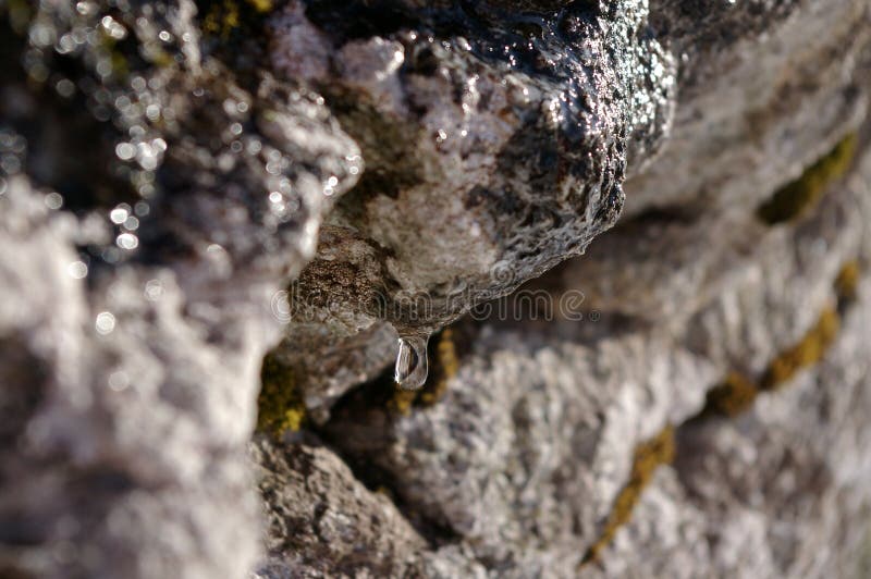 Water-drop stock photo. Image of life, light, hope, water - 88365624