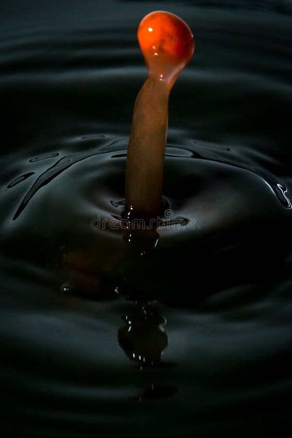 Water Drop Splash in a Glass, Black Backgrounds Stock Image - Image of ...