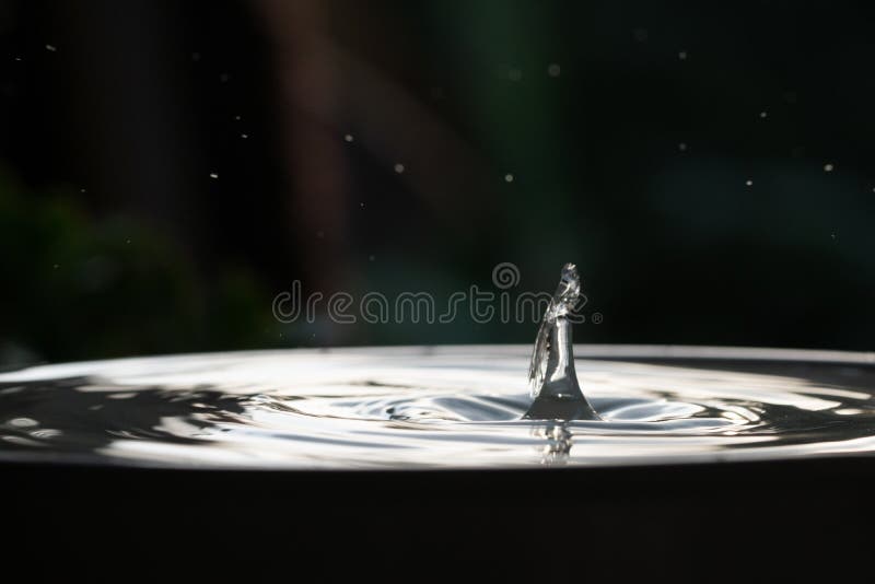 Water Drop Splash color stock photo. Image of motion - 152304178
