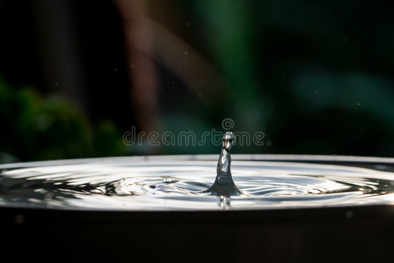 Water Drop Splash color stock image. Image of nature - 152311183