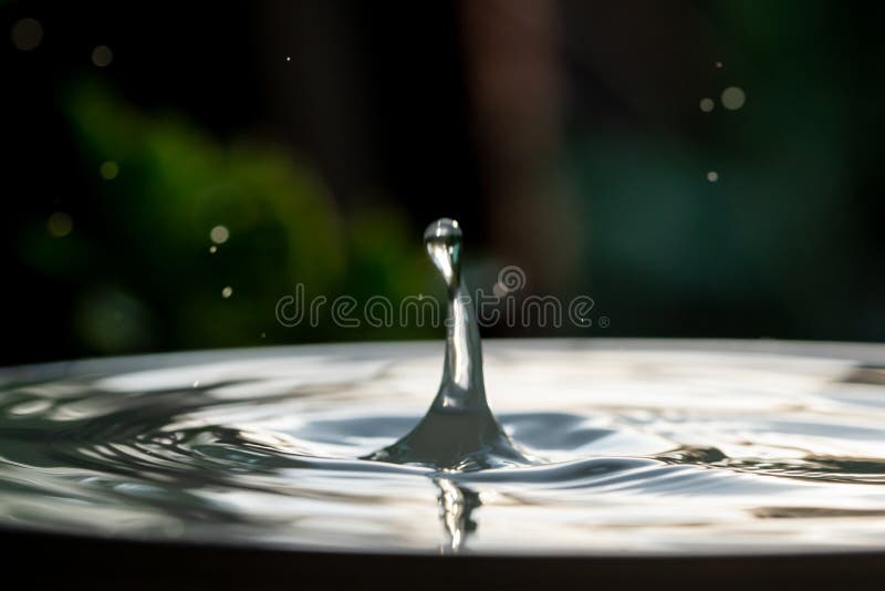 Water Drop Splash color stock photo. Image of purity - 152328668