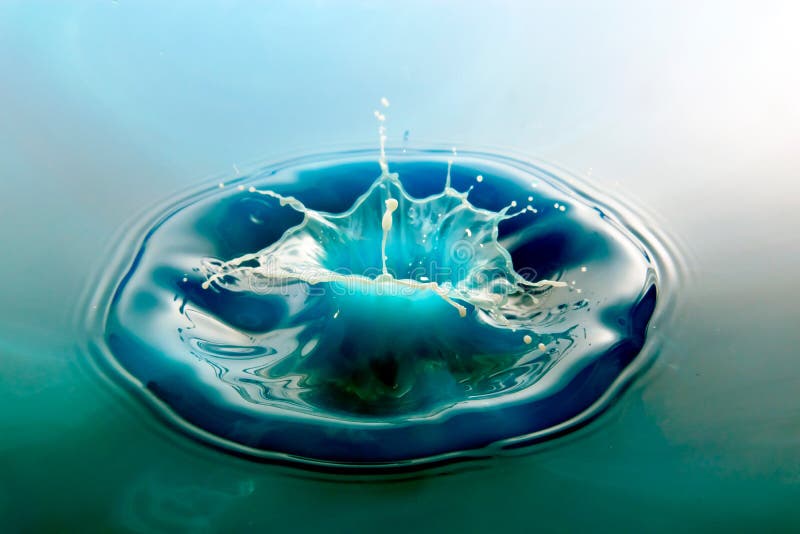 Water drop and splash stock photo. Image of splash, splashing - 84624496