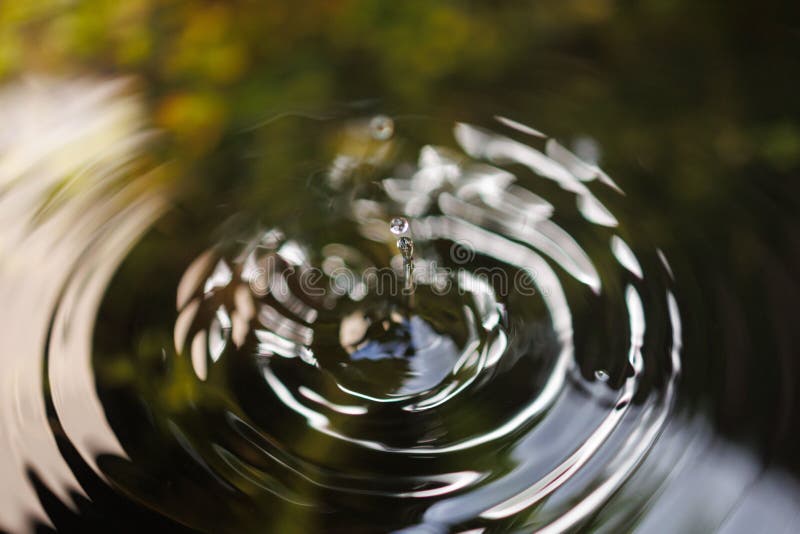 Water Drop Splashing in a Pond Surface Stock Image - Image of motion ...