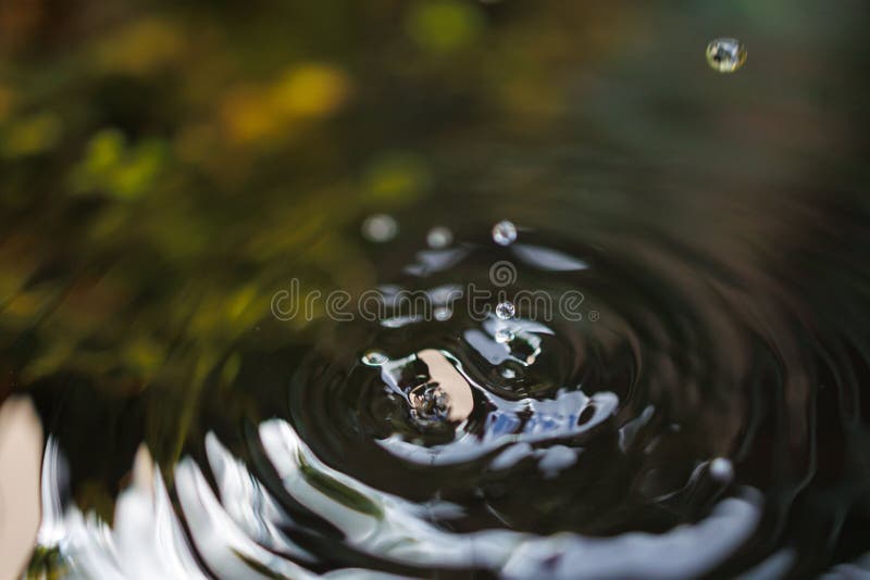 Water Drop Splashing in a Pond Surface Stock Photo - Image of abstract ...