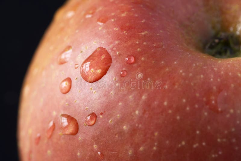 Water Drop on Surface of Apple Close Up Stock Image - Image of fresh ...