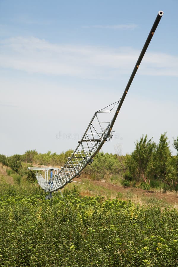 Water-drop system stock photo. Image of planting, yearling - 26205802