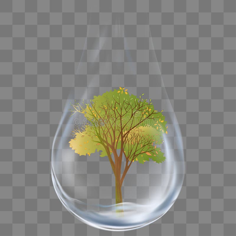 Tree Inside Water Drop Stock Illustrations – 273 Tree Inside Water Drop ...