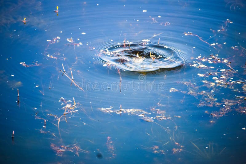 Water Drop Wave in the River Stock Photo - Image of underwater ...