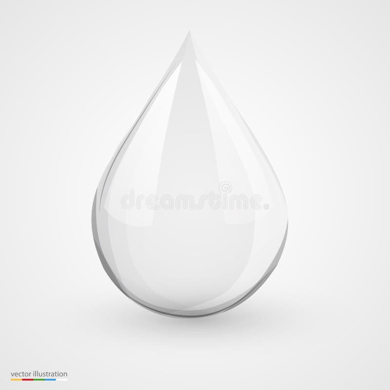Water drop on white . stock vector. Illustration of purity - 61346064