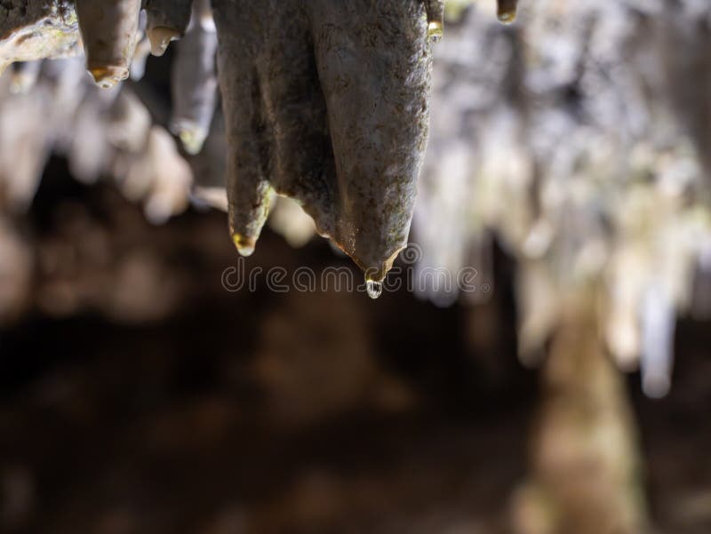 Water Droplet Falling from Stalactite in Cave Stock Image - Image of ...