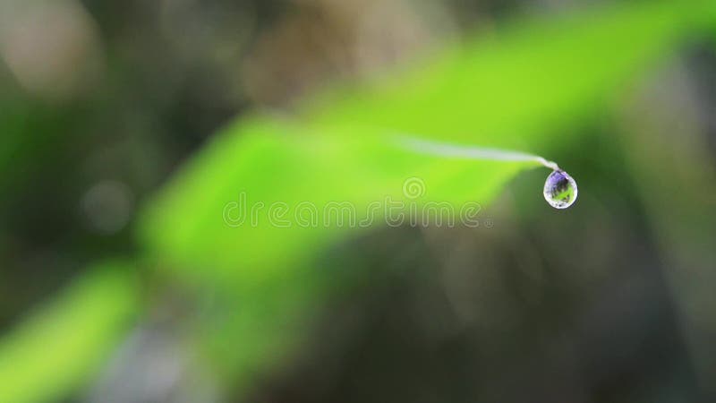 A Water Droplet Forms into a Miniature Earth, Dripping into a Body of ...