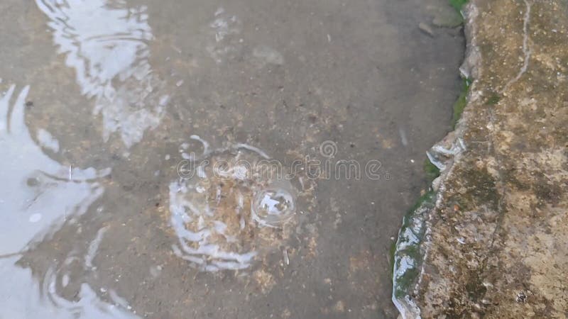 Water Droplet Splashing in a Puddle with Ripples on Concrete Surface ...