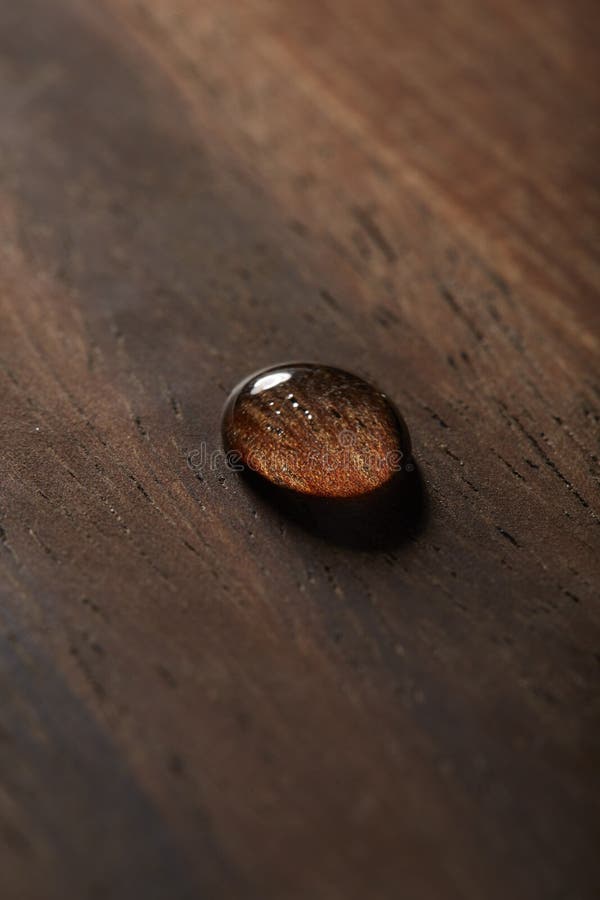 Water Droplet on Wood stock image. Image of repelling - 91999881