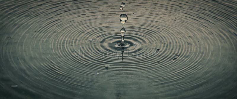 Water Droplets Creating Ripples on the Surface of a Calm Pond Stock ...
