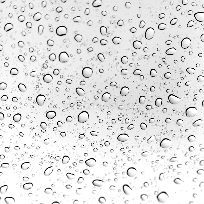 Water droplets stock photo. Image of abstract, gray, droplets - 38972444