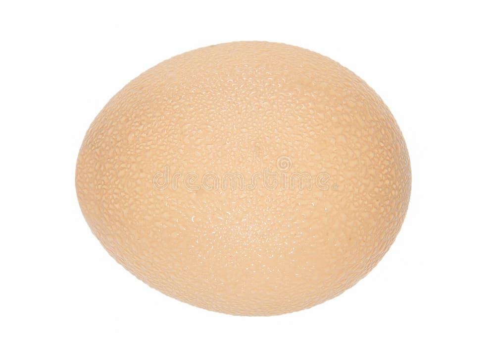 Water Droplets Egg Shell Surface Stock Photos - Free & Royalty-Free ...