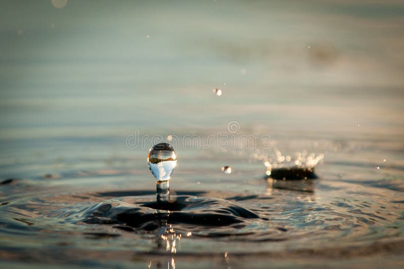 Water Droplets Falling into a Pond at Sunset Stock Photo - Image of ...