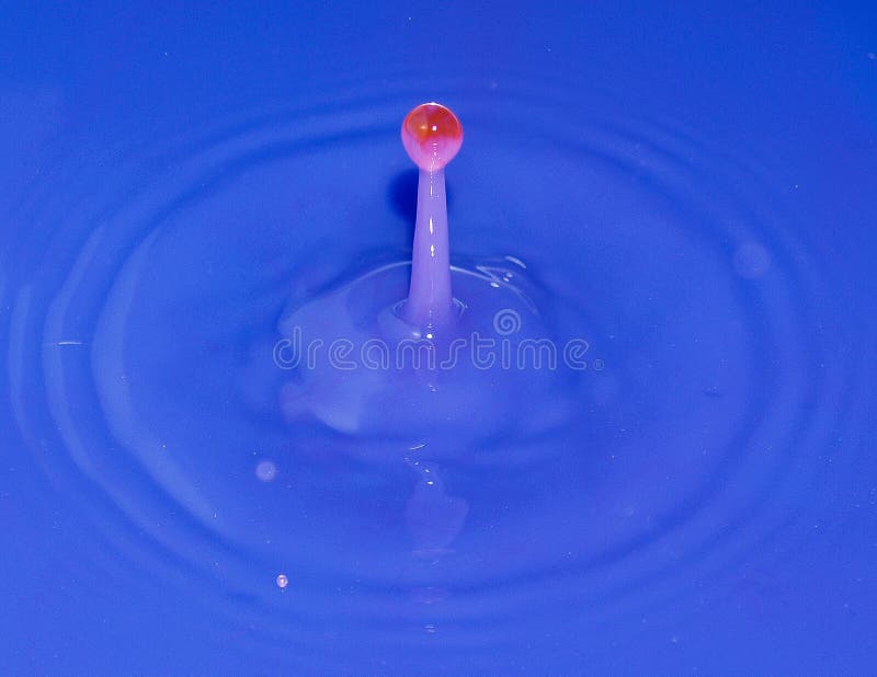 Water Droplets Falling in Water Stock Photo - Image of water, splash ...