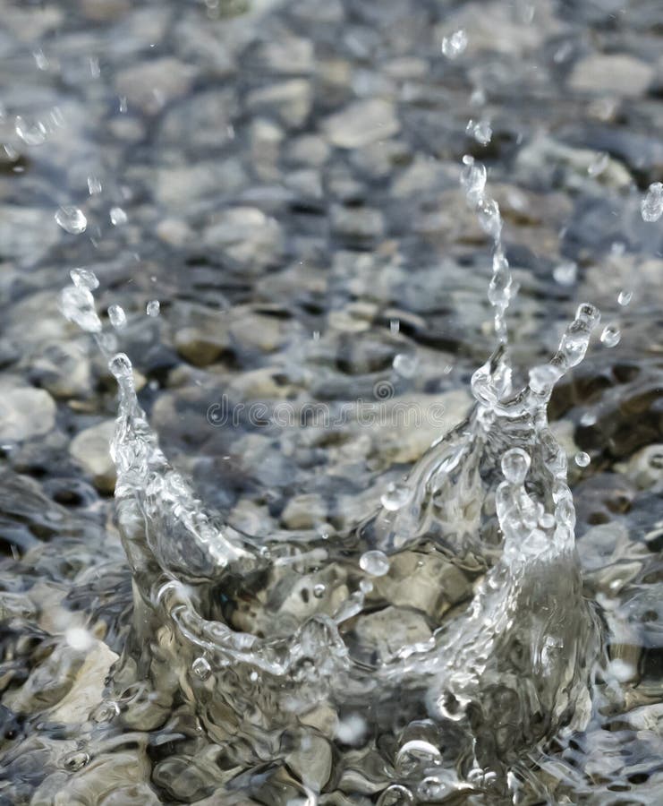 Water Droplets Falling into the Small Pool of Water Covering Small ...
