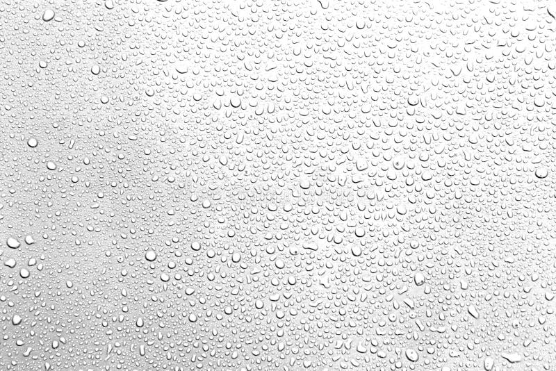 Water droplets on a gray stock photo. Image of background - 168671786