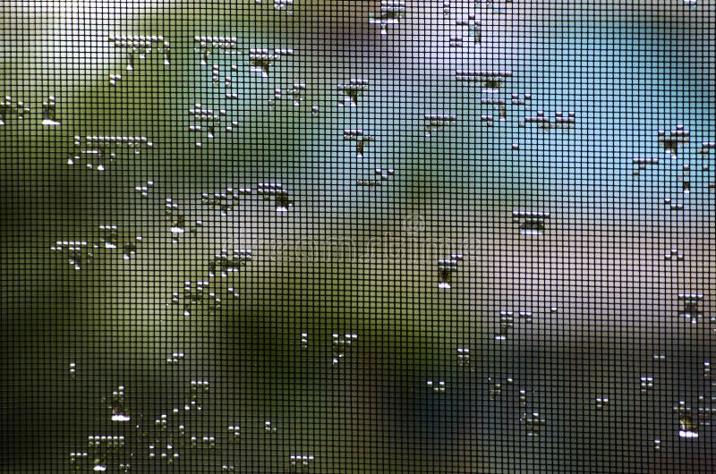 Water Droplets in the Grid Squares Stock Photo - Image of distortion ...