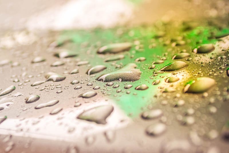 Water Droplets that Look Calm Resting on Objects that Look Comfortable ...