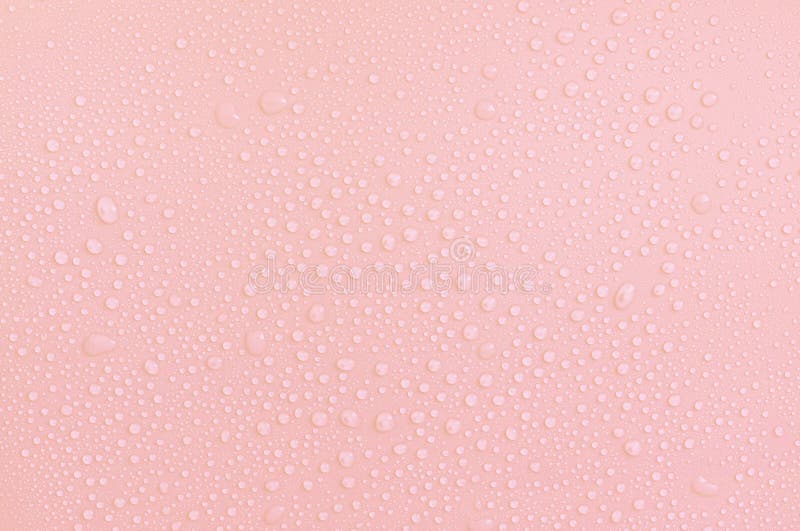 Water Droplets on Pastel Pink Background Stock Photo - Image of macro ...