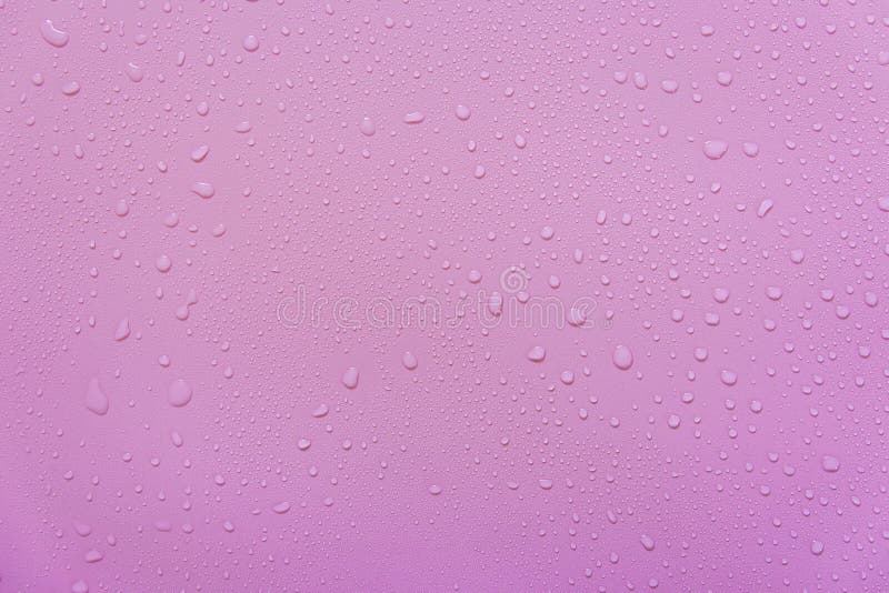 Water Droplets on a Pink Background. for As a Background Drop on the ...