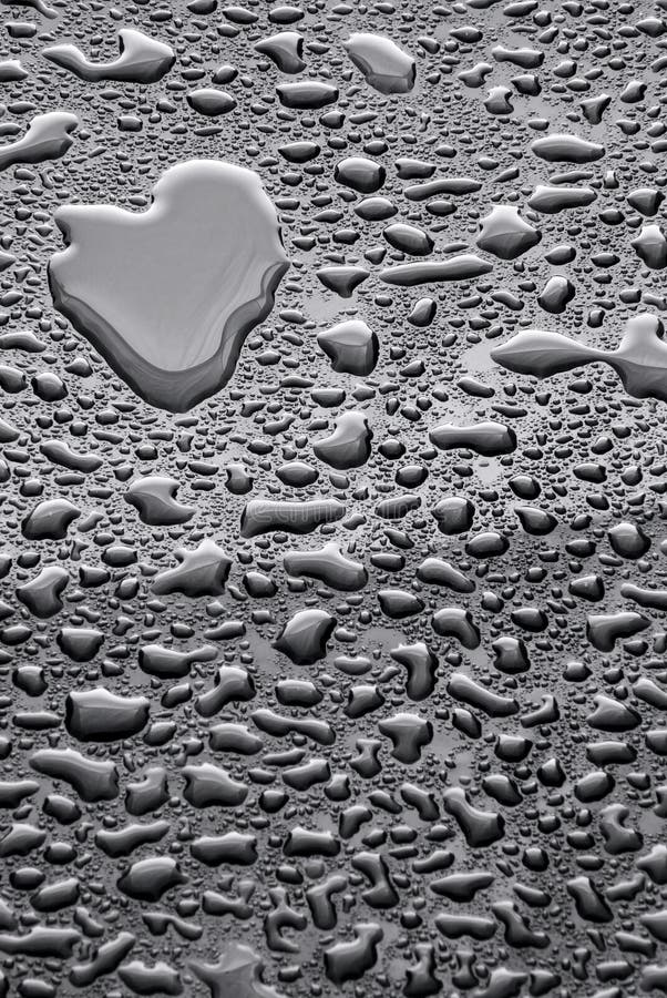 Water droplets - portrait stock photo. Image of shiny - 2411244