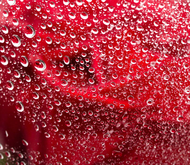 Water Droplets on a Red Background. Macro Stock Image - Image of color ...