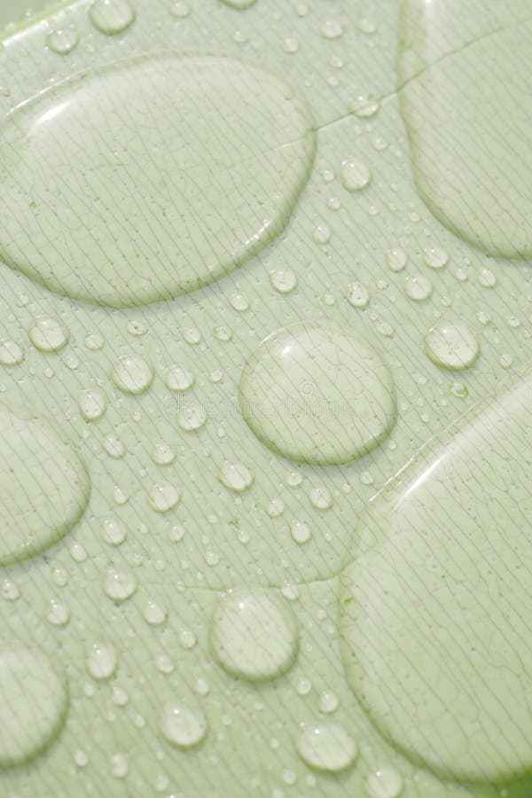 Water Droplets Smooth Surface Gentle Rain Shower Stock Photos - Free ...