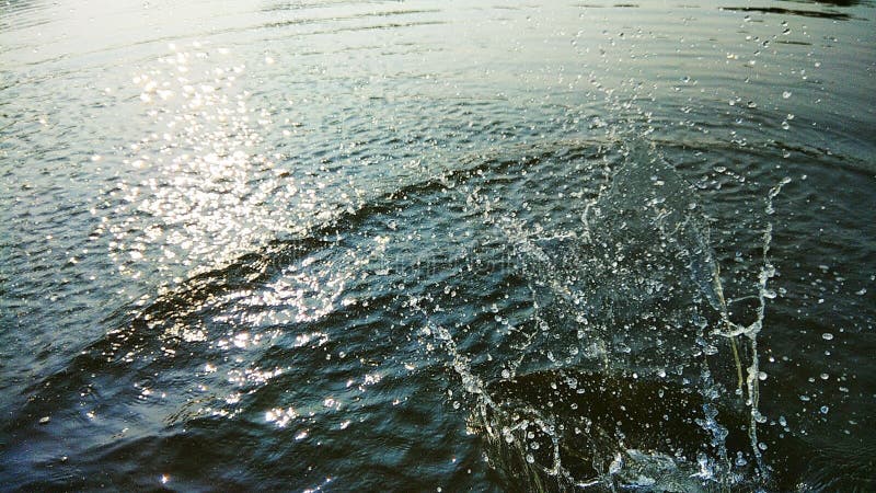 Water Droplets Spread Wave Sunlight Stock Photo - Image of nature ...