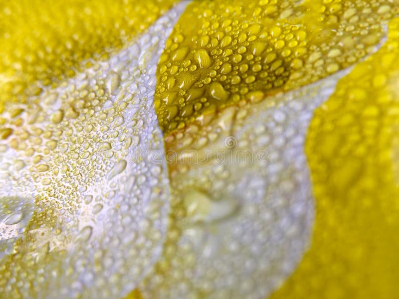 Water droplets stock photo. Image of droplets, white - 168295396