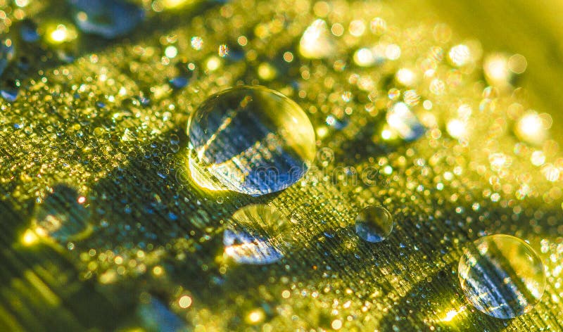 Water droplets stock image. Image of rain, agriculture - 112753887