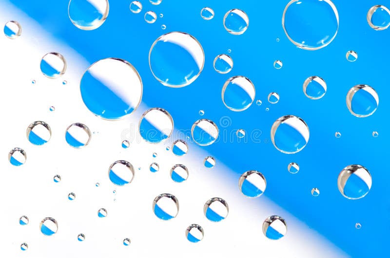 Water Droplets on a White Background. Stock Photo - Image of background ...