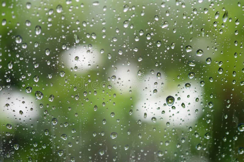 Water Droplets on a Windshield Stock Photo - Image of light, green ...