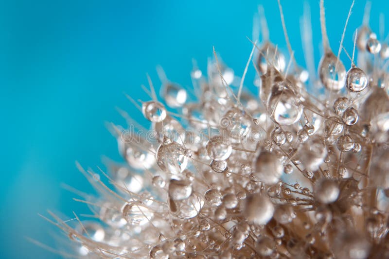 Water drops stock image. Image of close, drops, light - 18320437