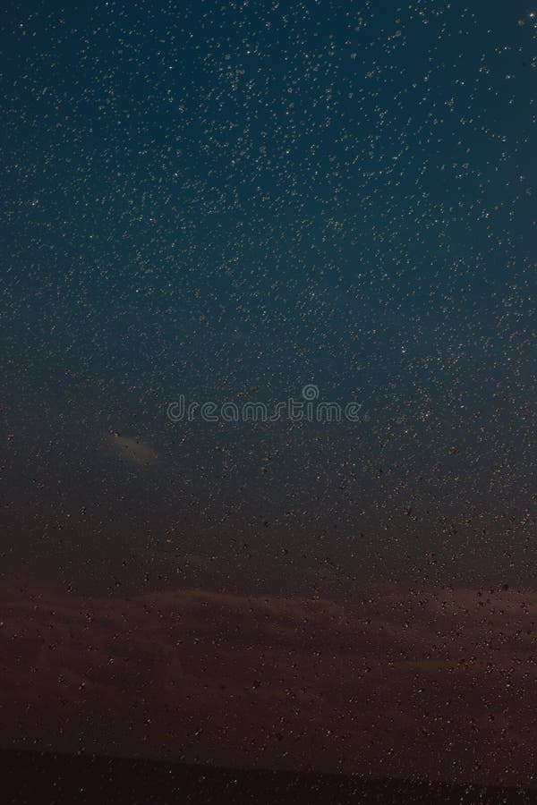 The Atmosphere at Night Yogyakarta Monument with the Enchanting Light ...