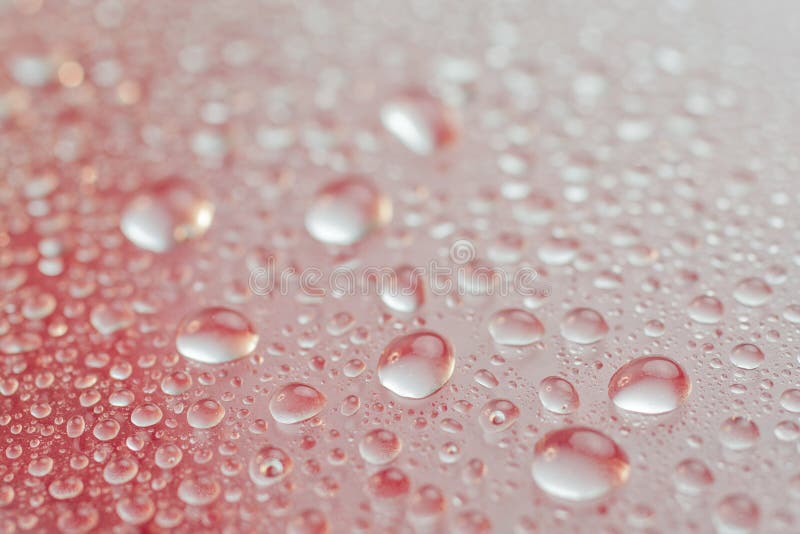 Water Drops on Pretty Pink Background Stock Image - Image of splashes ...
