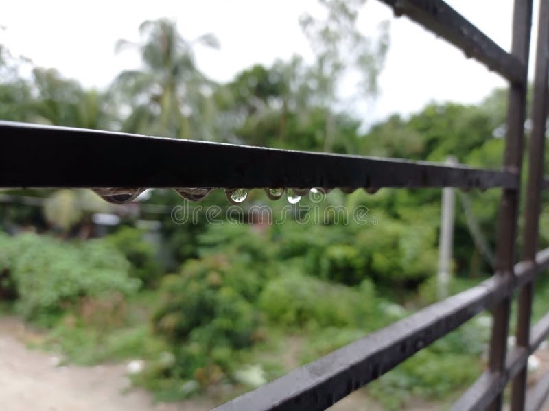 Photo of Balcony Railings on Windows. Balcony Railings on House ...