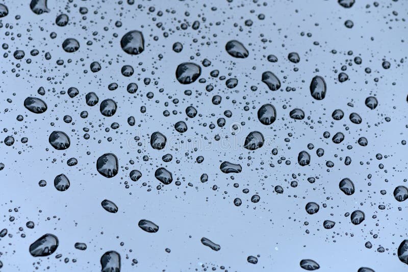 Random Day 7 Christmas Stock Photos - Free & Royalty-Free Stock Photos ...